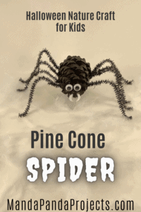 Halloween Pine Cone Spider: Pine Cone spOOktakular