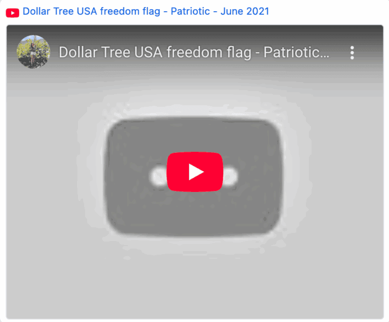 DIY Dollar Tree USA Freedom Flag - Manda Panda Projects