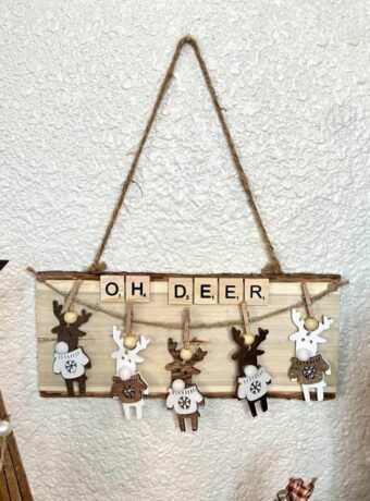 Pine Cone Reindeer: Rudolph the Red Nosed Pine Cone - Manda Panda Projects